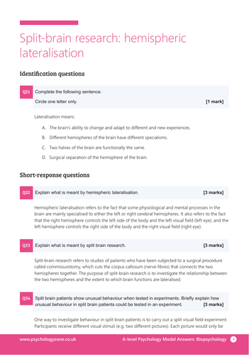 Hemispheric lateralisation: split-brain research. | Teaching Resources