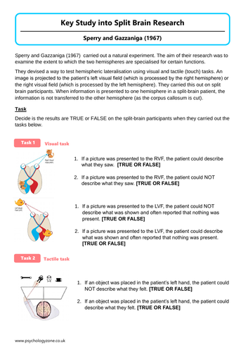 Hemispheric lateralisation: split-brain research. | Teaching Resources