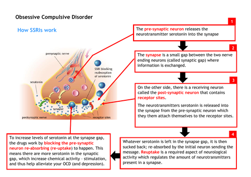 A Level Psychology: The biological approach to treating OCD: Drug ...