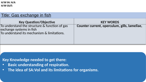 AQA A level Biology - 3.3 Organisms exchange substances 3 - Gas ...