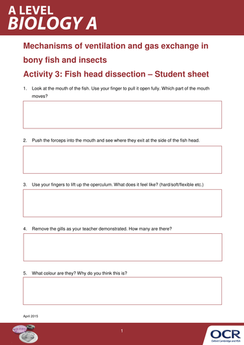 AQA A level Biology - 3.3 Organisms exchange substances 3 - Gas ...