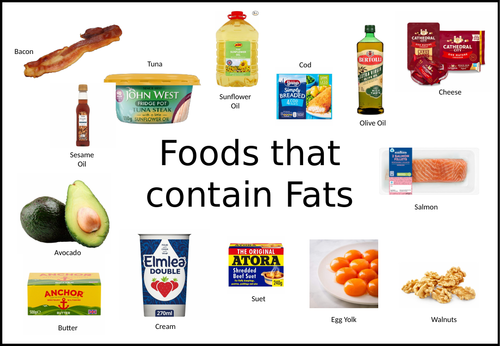 What is Fat? - 2 Lesson Bundle | Teaching Resources