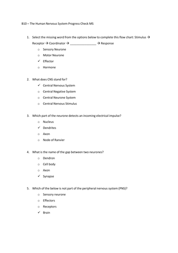 The Human Nervous System Quiz pdf | Teaching Resources