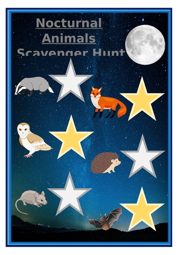 Nocturnal Animals Scavenger Hunt | Teaching Resources Nocturnal Animals Scavenger Hunt | Teaching Resources