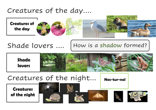 Light and Dark PowerPoint Science KS1/Y3 Science | Teaching Resources