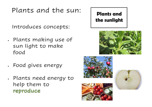 Light and Dark PowerPoint Science KS1/Y3 Science | Teaching Resources