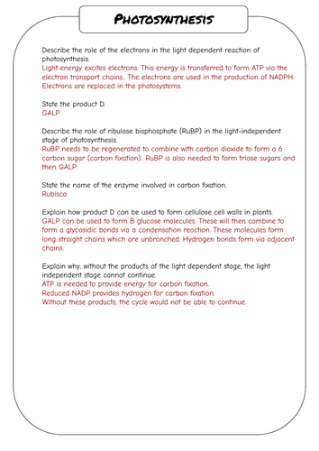 A Level Biology Photosynthesis Overview | Teaching Resources
