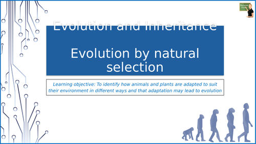 Science-Evolution and Inheritance- Evolution by Natural Selection- Year ...