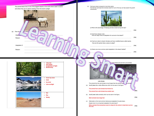 KS3_Secondary 1 checkpoint_worksheet and revision (with answer script ...
