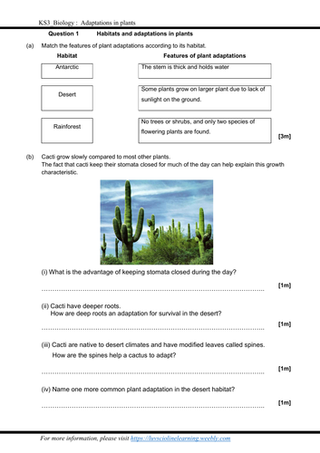 KS3_Secondary 1 checkpoint_worksheet and revision (with answer script ...