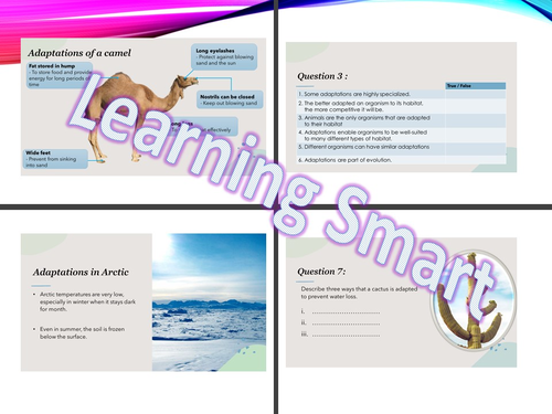 KS3_Secondary 1 checkpoint_worksheet and revision (with answer script ...