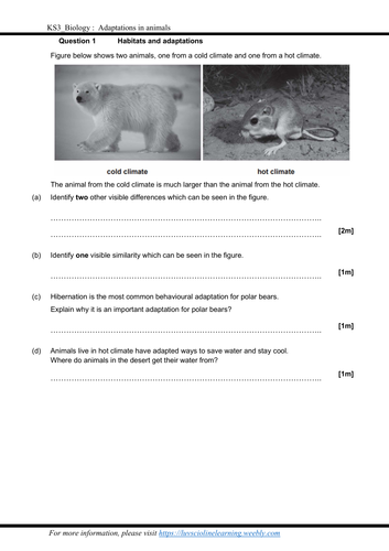 KS3_Secondary 1 checkpoint_worksheet and revision (with answer script ...