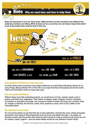 EAL English Through Gardening - Bees | Teaching Resources