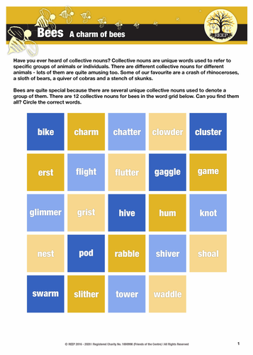 EAL English Through Gardening - Bees | Teaching Resources