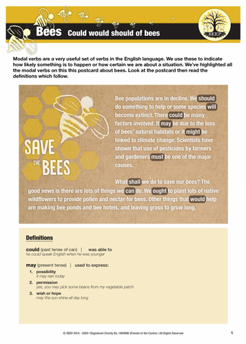EAL English Through Gardening - Bees | Teaching Resources