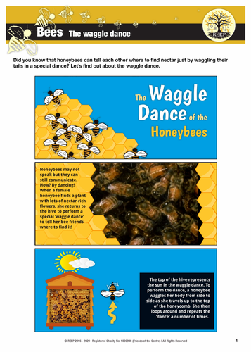EAL English Through Gardening - Bees | Teaching Resources