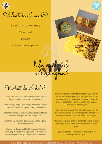 EAL English Through Gardening - Bees | Teaching Resources