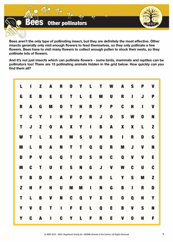 EAL English Through Gardening - Bees | Teaching Resources