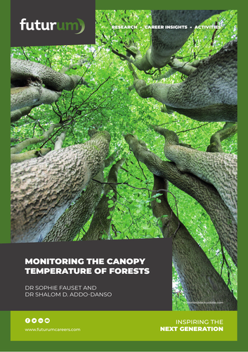 Monitoring the canopy temperature of forests | Teaching Resources