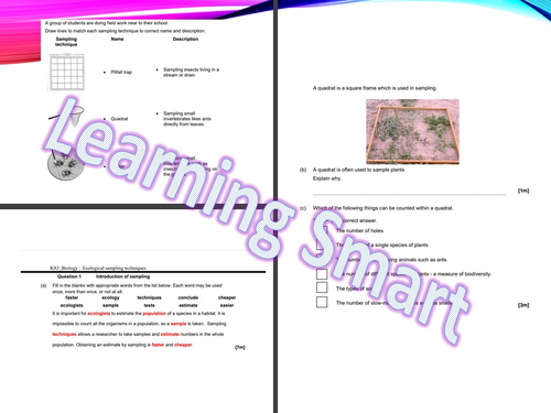 KS3_Secondary 1 checkpoint_worksheet and revision (with answer script ...