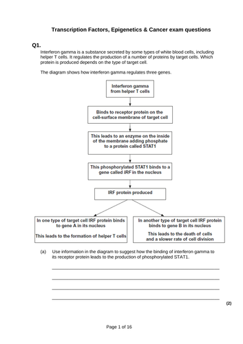AQA A level Biology – 3.8 The control of gene expression - 5 Genes ...