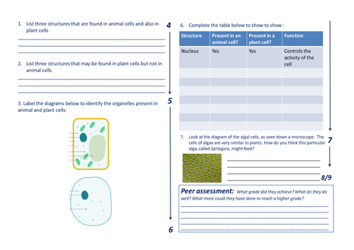 AQA GCSE Biology B1.02 Animal and Plant Cells | Teaching Resources