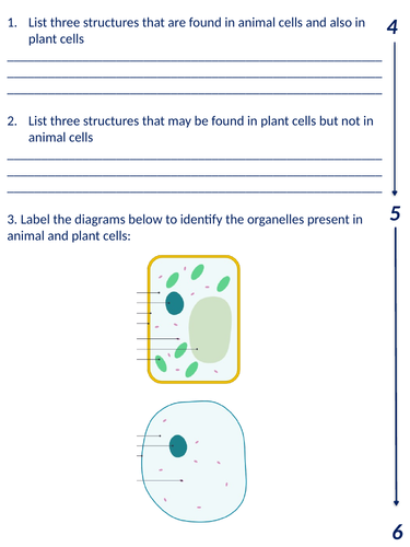 AQA GCSE Biology B1.02 Animal and Plant Cells | Teaching Resources