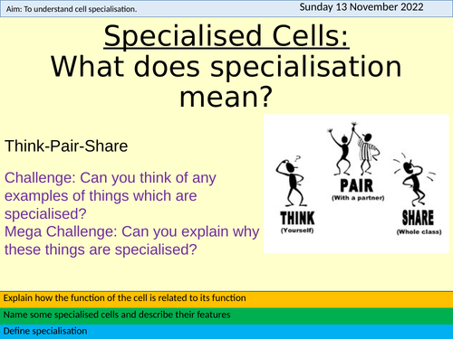 AQA GCSE Biology B1.04 Specialisation in Animal Cells | Teaching Resources