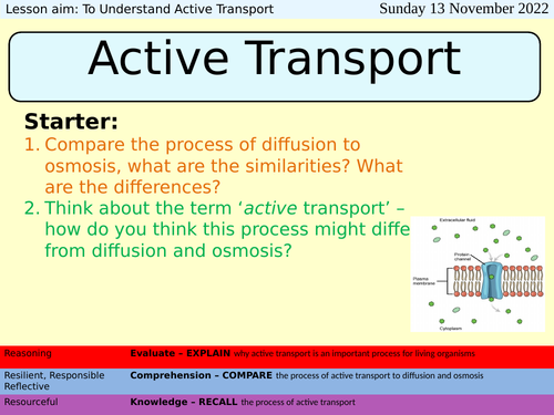 AQA GCSE Biology B1.09 Active Transport | Teaching Resources