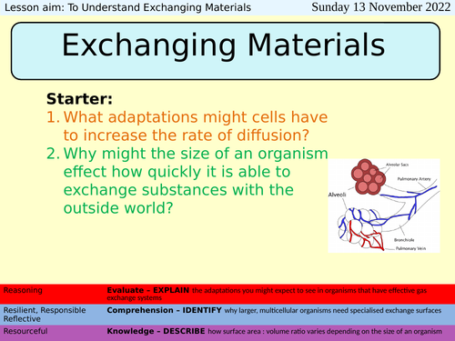 AQA GCSE Biology B1.10 Exchanging Materials | Teaching Resources