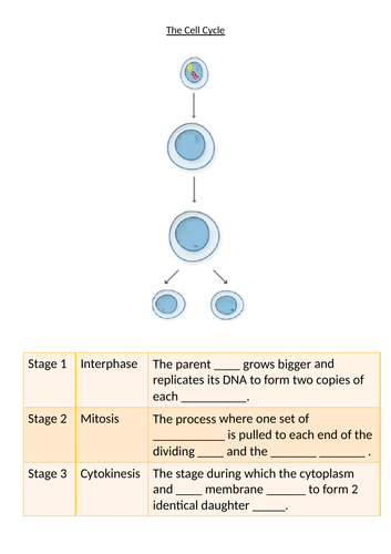AQA GCSE Biology B2.01 Cell Division | Teaching Resources