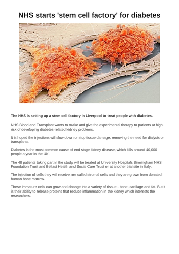 AQA GCSE Biology B2.03 Stem Cells | Teaching Resources