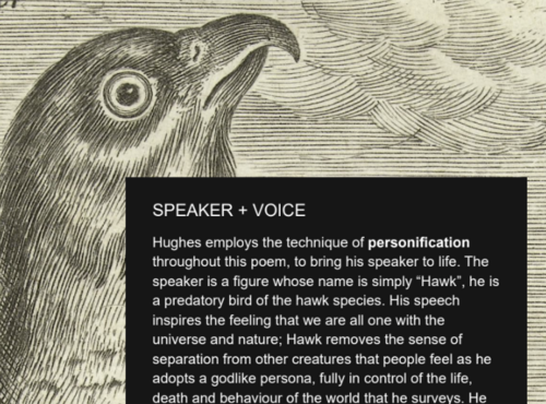 'Hawk Roosting' by Ted Hughes - Complete Lesson + Study Guide ...