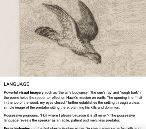 'Hawk Roosting' by Ted Hughes - Complete Lesson + Study Guide ...