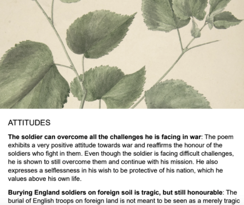 'The Soldier' by Rupert Brooke - Lesson + Study Guide | Teaching Resources