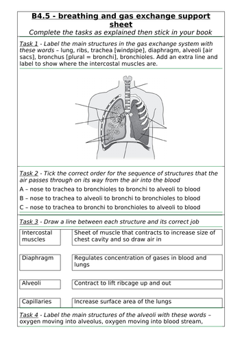 9 Support worksheets for AQA B4 topic | Teaching Resources