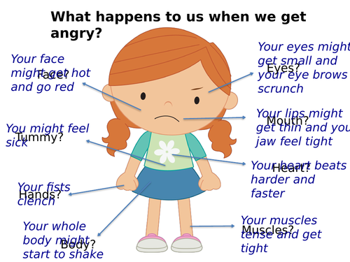 Anger PSHE Lesson Package | Teaching Resources