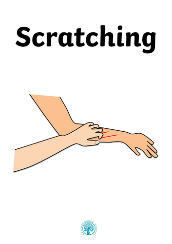 Scratching Others Social Story | Teaching Resources