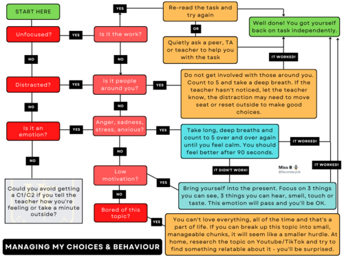 Behaviour flowchart for students to regulate emotions independently ...