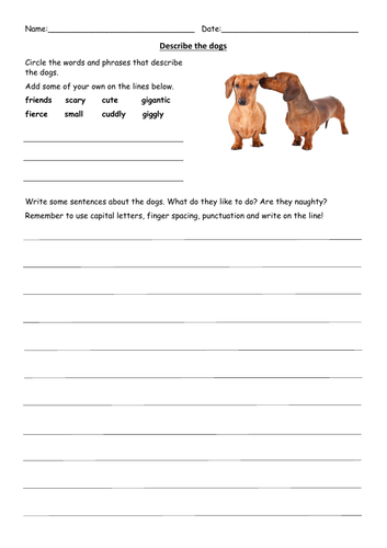 Literacy descriptive writing from animal photos | Teaching Resources