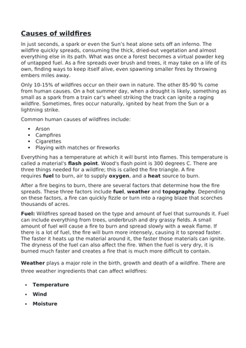 What is a wildfire | Teaching Resources