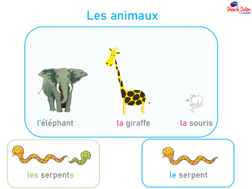 Les animaux - French animals | Teaching Resources