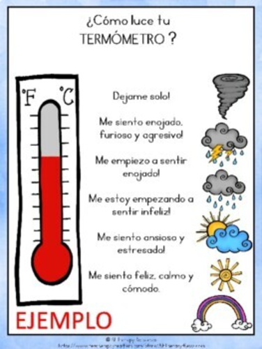 SPANISH VERSION - Emotional Regulation & Coping Skills Workbook Program ...