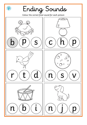 Finding Final Sounds in Words set 2 | Teaching Resources