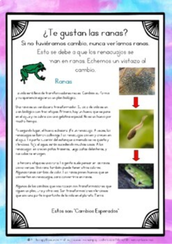 SPANISH - Social Stories - I can Cope with Change (coping skills ...