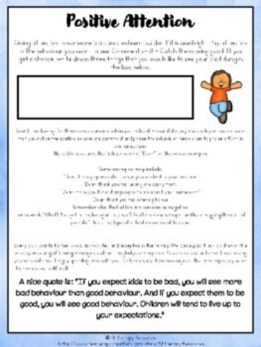 Behaviour Support: Strategies and Recommendations for Fostering Self ...