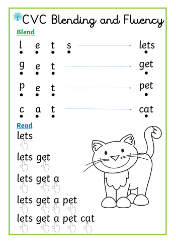 CVC Word Blending and Fluency Reading Guidance | Teaching Resources