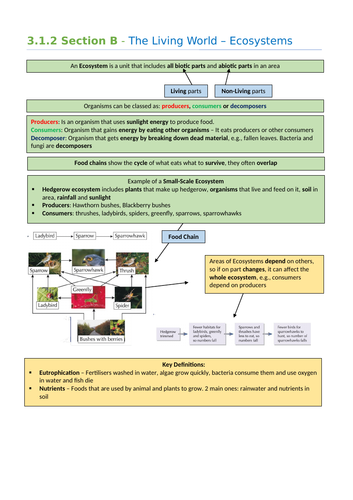 3.1.2 Section B - The Living World – Ecosystems | Teaching Resources