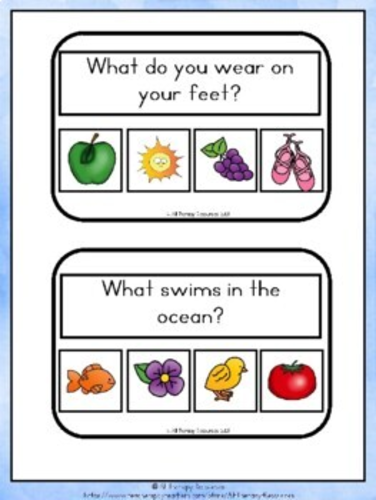 Wh (What Questions) Task Cards - visual supports -Speech Therapy ...