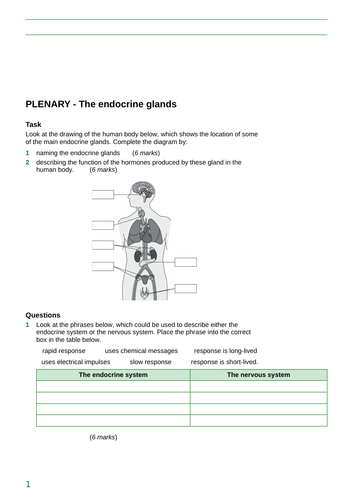 Human Endocrine System | Teaching Resources